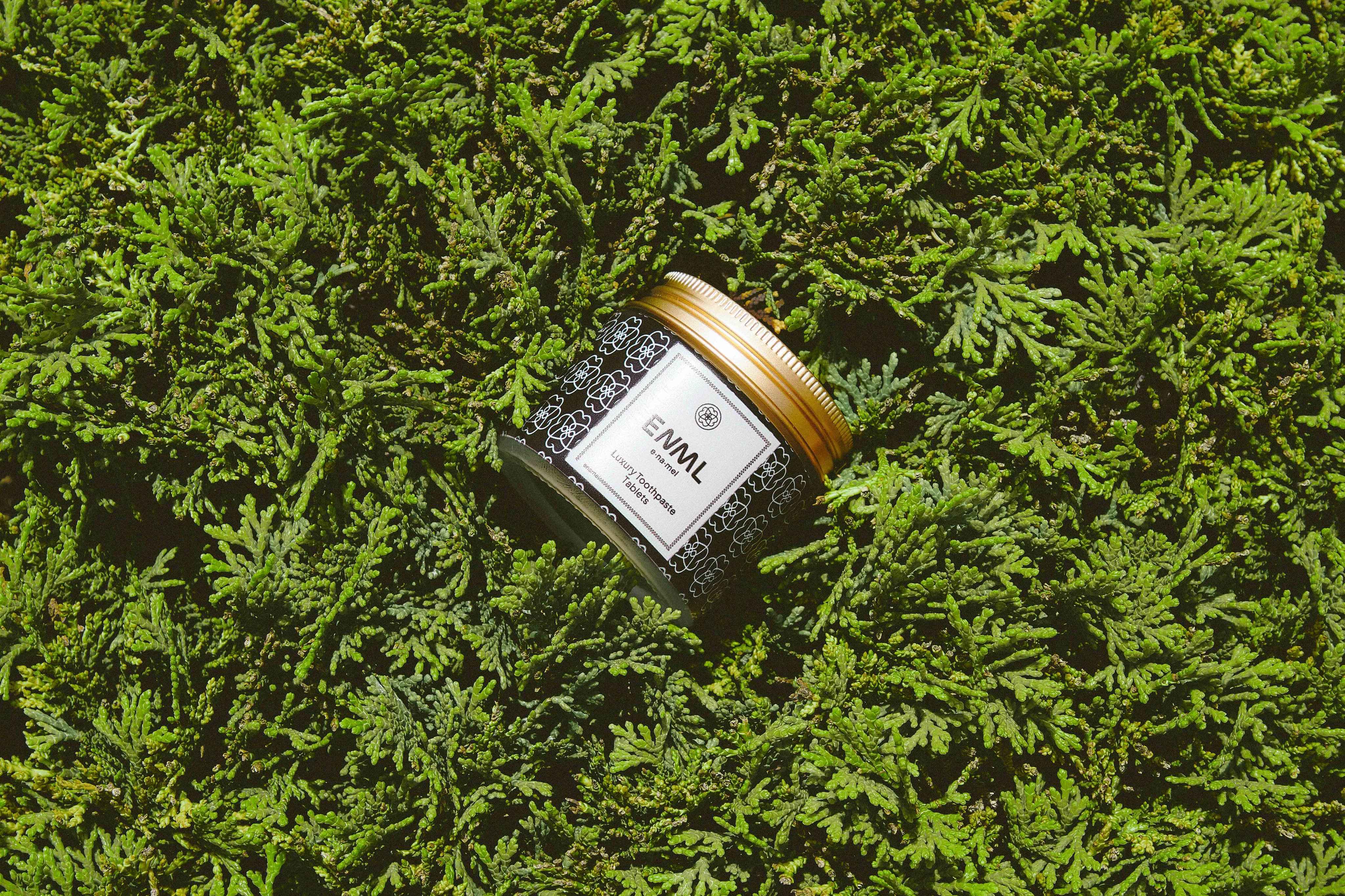 4 Effective and Natural Alternatives to Toothpaste | ENML