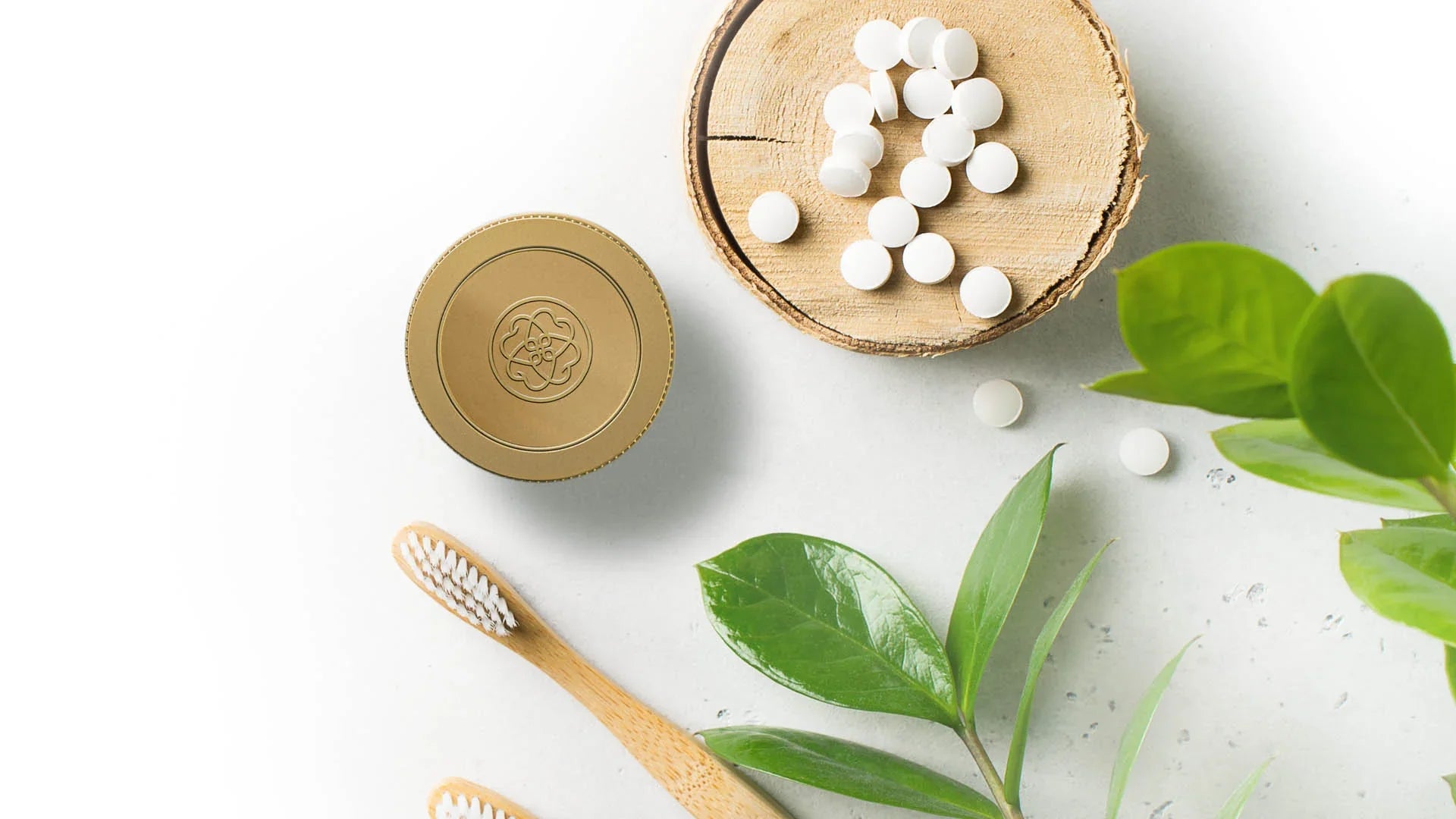 Zero Waste Toothpaste: A Sustainable Choice for Oral Care - ENML